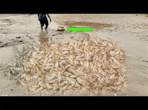 Best Fishing Unbelievable Fishing Techniques Best Underground