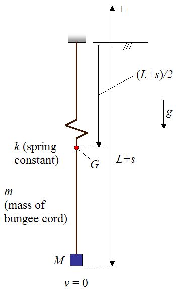 Physics Of Bungee Jumping