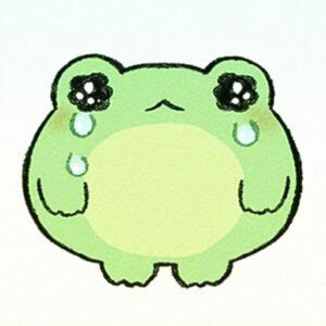 Cute Frog PFP Aesthetic Cute PFP For TikTok Discord Instagram