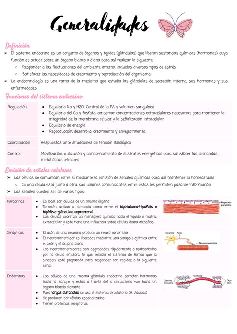 Generalidades Del Sistema Endocrino Definici N El Sistema Endocrino