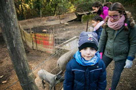 Locandares Amigos Del Senderismo RUTA RIBERA DEL JABUGO PARQUE