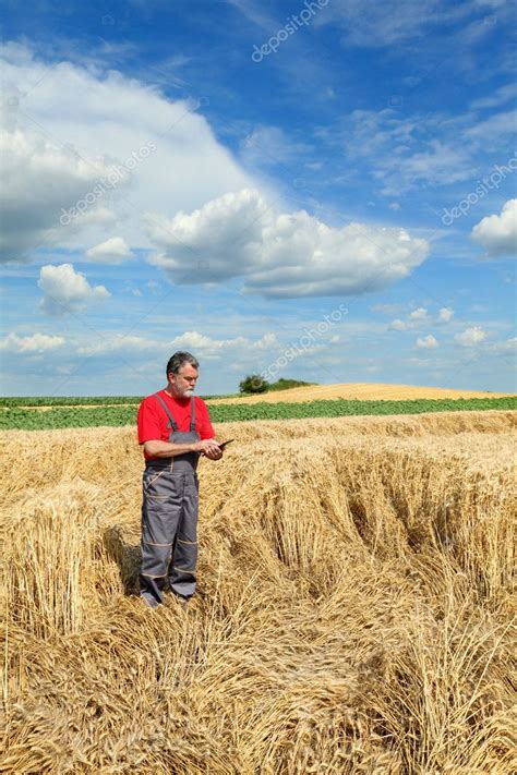Escena Agr Cola Agricultor O Agr Nomo Inspeccionar Trigo Da Ado F 2024