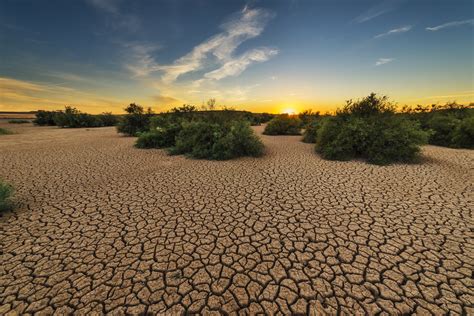 Fotos gratis paisaje árbol naturaleza arena horizonte nube