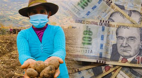 Bono Wanuchay 2022 LINK Quiénes acceden a este beneficio de 350 soles
