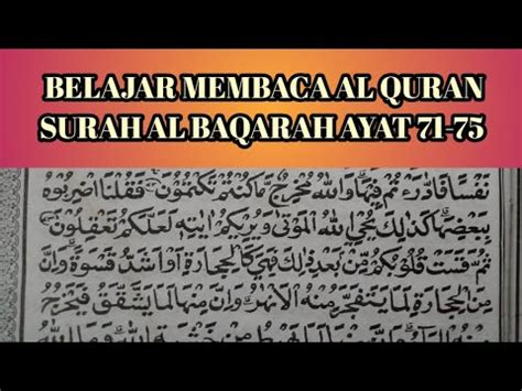 BELAJAR MEMBACA AL QURAN SURAH AL BAQARAH AYAT 71 75 YouTube