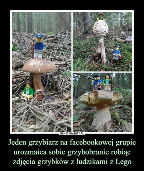 Jajcarze na grzybach Zobaczcie jak internauci śmieją się ze zbieraczy