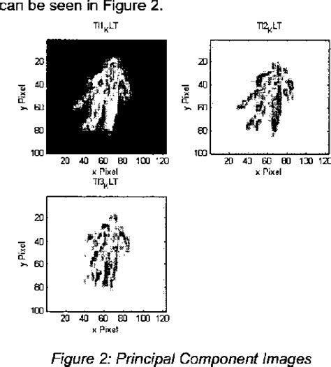 figure 1 from sonar image recognition using synthetic discriminant functions implemented with