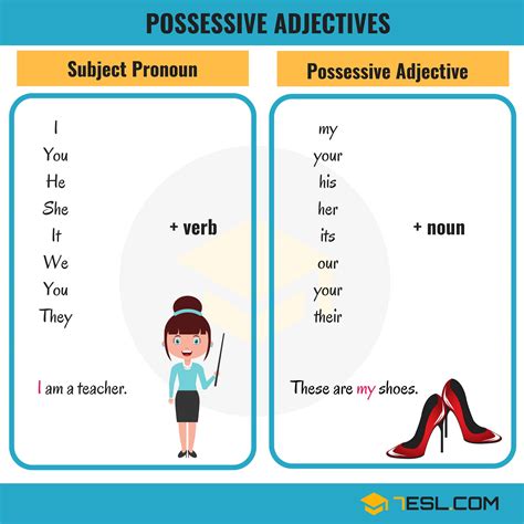 Mastering Possessive Adjectives In English Grammar ESLBUZZ