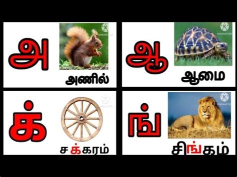 uyir ezhuthukal mei ezhuthukal உயர எழததககள mei ezhuthukal