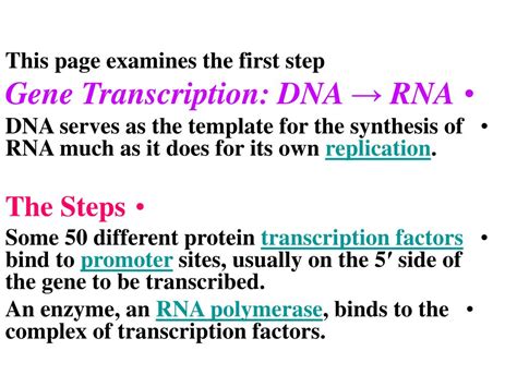PPT Gene Expression Transcription PowerPoint Presentation Free