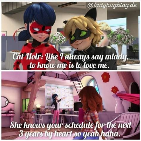Pin By Bianca Avaro On Miraculous Ladybug Miraculous Ladybug Movie
