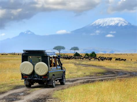 The 19 Best Safaris In Africa In 2024 Best Parks Tours