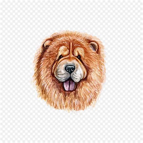 Png Png