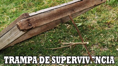 increíble Trampa para Capturar Aves Con Orqueta Automática Tutorial