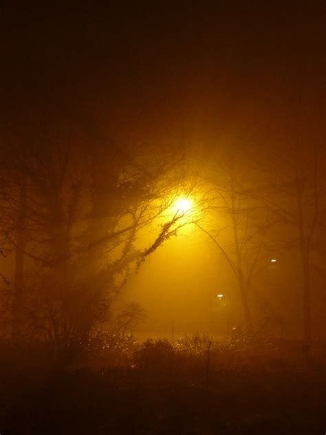 Nebel Nacht Licht Kostenloses Foto Auf Pixabay