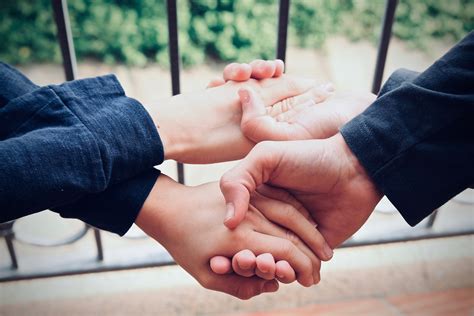 On Where Altruistic Behaviour Can Be Found In Our Brain TheScienceBreaker
