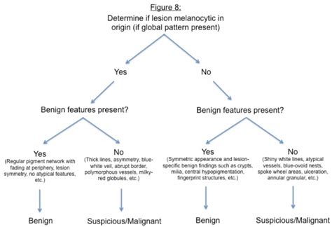Practical Dermoscopy Part 1 Next Steps In Dermatology