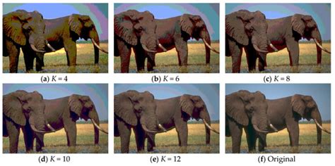 entropy free full text kapur s entropy for color image segmentation based on a hybrid whale