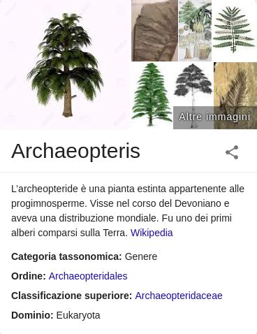La più antica foresta fossile conosciuta al mondo Comotvfree