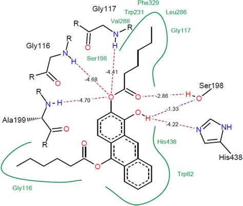 The Binding Pocket Of BuChE Showing Docked Conformation Of Ligand