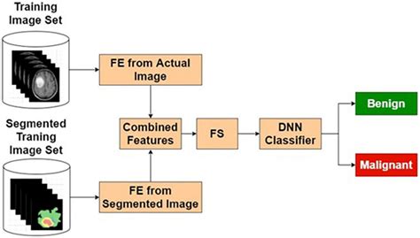 frontiers mri brain tumor image classification using a combined feature and image based classifier