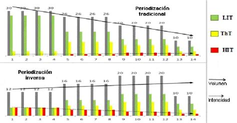 Periodizaci N Del Entrenamiento Claves Que Debes Conocer