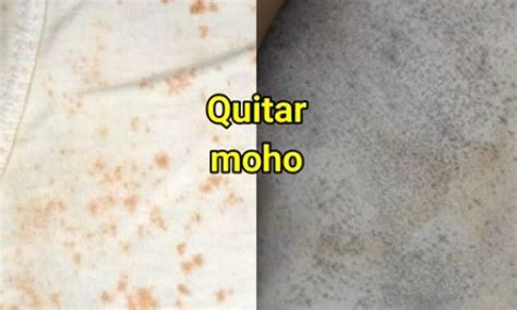 Cómo quitar las manchas de moho en la ropa
