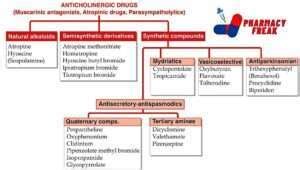 Classification Of Anticholinargic Drugs Pharmacy Freak