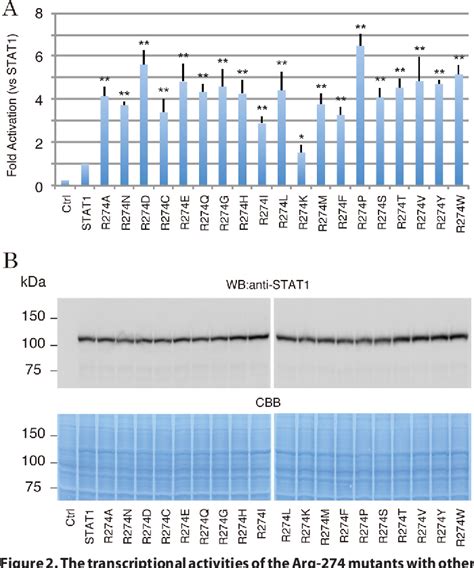 Figure 2 From Molecular Mechanism And Structural Basis Of Gain Of