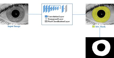 figure 3 from deep learning based iris segmentation algorithm for effective iris recognition