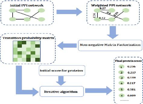 figure 1 from an iterative method for identifying essential proteins based on non negative