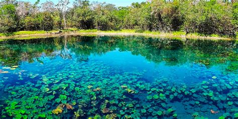 Cráter Azul en Petén Guatemala Aprende Guatemala
