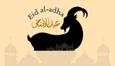 Hikmah Dan Manfaat Berkurban Di Hari Raya Idul Adha