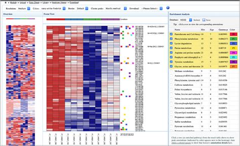 How Does The Peak Intensity Table Work In The Functional Analysis