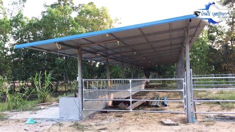 Contoh Desain Kandang Sapi Perah Simpel Modern Kandangsapi Sketchup