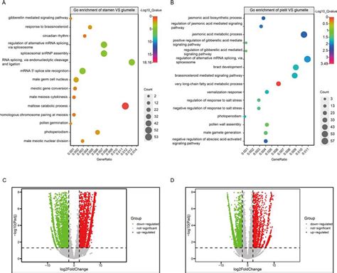 Gene Ontology Enrichment Analysis Of Degs In Flower Organs A Go