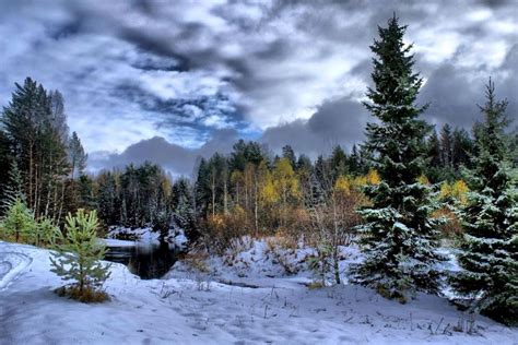 Hutan Boreal Homecare