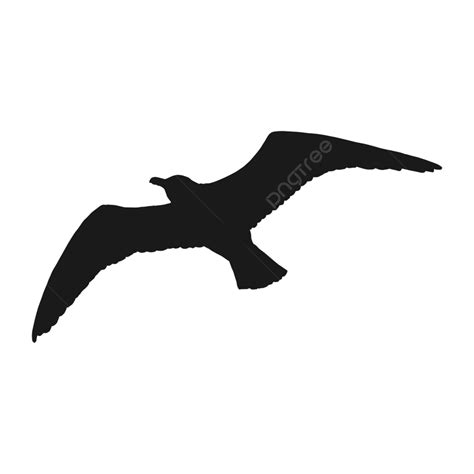 Gambar Siluet Burung Camar Terbang Laut Sayap Burung Png Dan Vektor