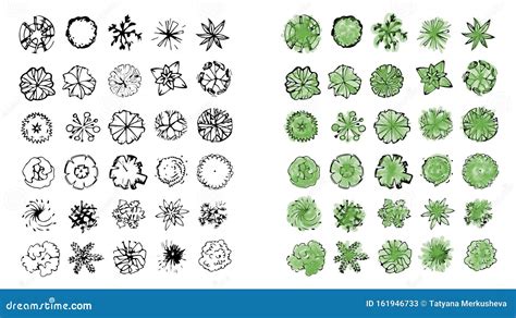 Landscape Architecture Plan View Trees Draw Valley