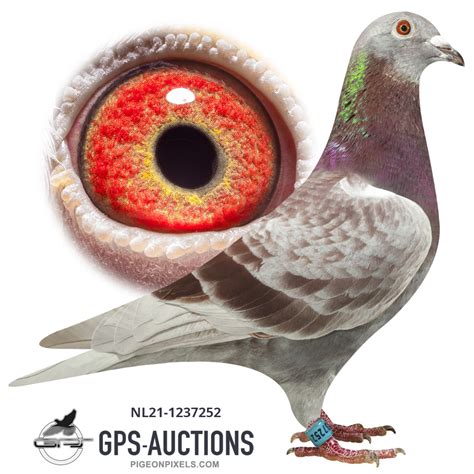 G Baan Gebr Leideman Special GPS Auctions
