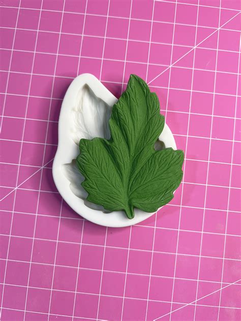 Molde De Silicona Hoja Grande Paucakes Argentina