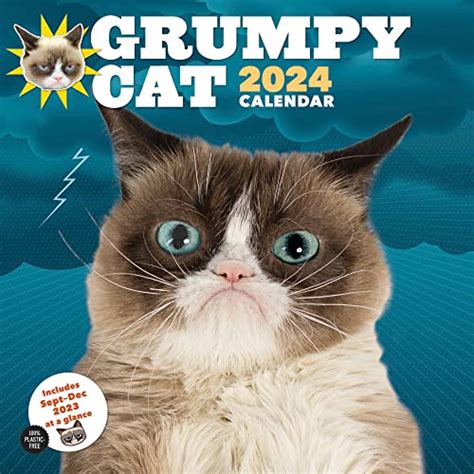 Grumpy Cat Calendar 2024 The Ultimate Guide To Keeping Track Of Your