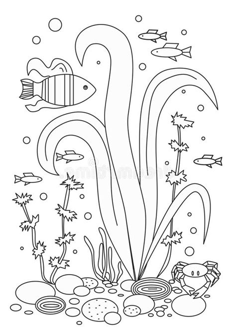 Desenhos De Algas Para Imprimir E Colorir Pintar