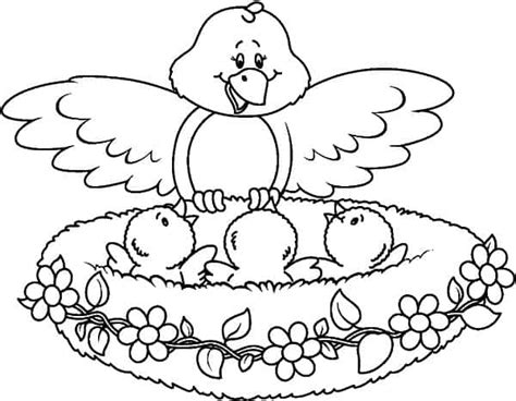 Passarinho Para Colorir 55 Desenhos Lindos Para Imprimir