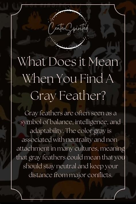 Gray Feather Meaning And Symbolism