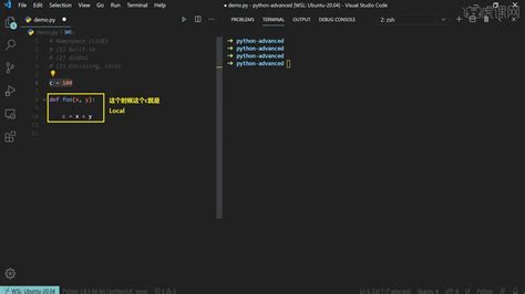 [python深入理解python的namespace] enclosing and local namespace 13章 编程开发教程 python（3 6 7） 虎课网