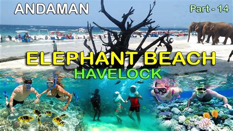 Elephant Beach Havelock Island Andaman Water Activities Beach At