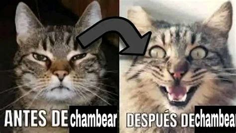 Ya Ponte A Chambear Fracasado Meme Subido Por Elchupapingo Memedroid