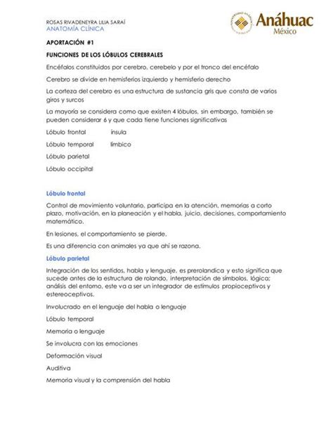 Funciones de los Lóbulos Cerebrales Lilia Rosas uDocz