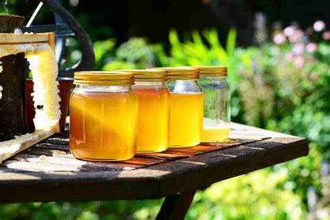 Cómo saber si la miel es pura o adulterada